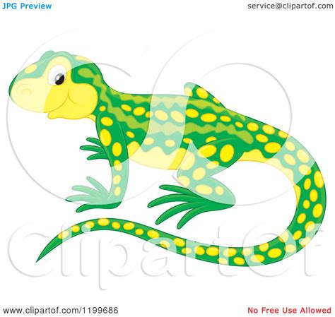 Clipart Newt
