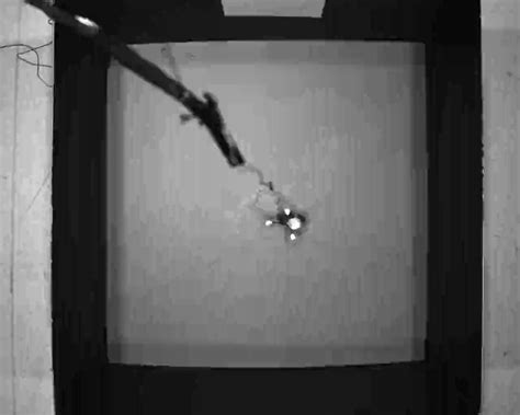 Tracking Balls Object Detection Model By Peking University