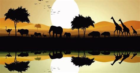 7 клас Практична робота №2 Тест на 9 запитань Географія