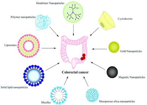 Types Of Nano Drug Delivery Systems Targeting Crc Download