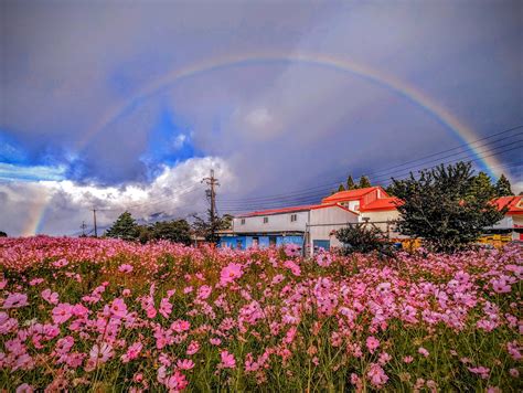福壽山農場fushoushanfarm