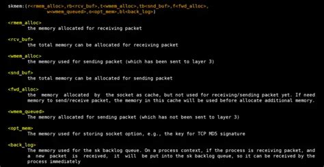 Top 14 Ss Command Examples To Monitor Socket Connections