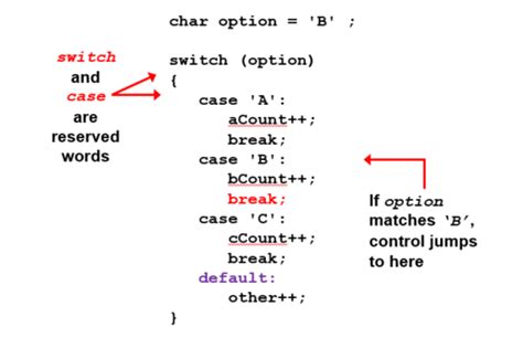 Switches Loops Whiledofor Double Nested Loops Flashcards Quizlet Switches Loops Whiledofor Double Nested Loops Flashcards Quizlet