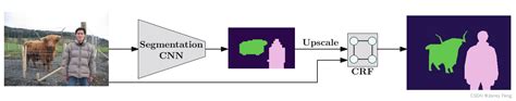 第三章：seed expand and constrain ——种子、扩展和约束：弱监督图像分割的三个原则 深度学习expand什么意思 csdn博客