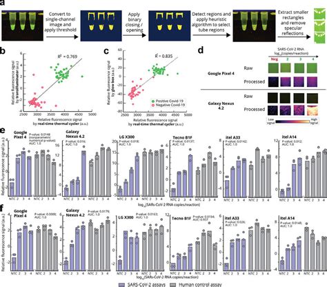 software analysis of fluorescence tube images a image processing