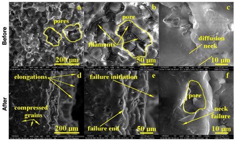 Sem Imaging Of The Pmma Control Sample Before A 500× B 1000×