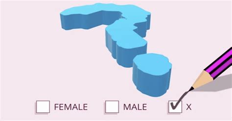 Gender Assignment Has Become A National Soap Opera America Out Loud News