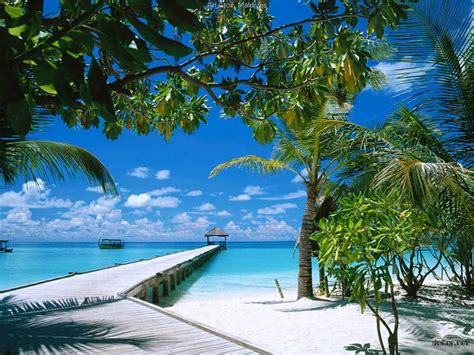 Мальдивы (Мальдивы) фото №2055 | Фотогалерея Мальдив на WebTurizm