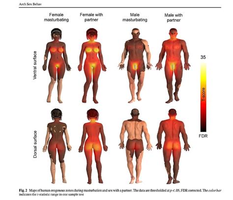 Need A Guide To The Bodys Hidden Erogenous Zones Check This Map Maxim