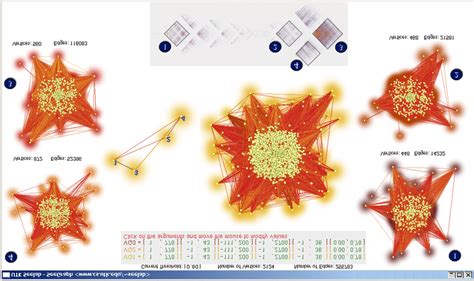Btd Selections Bottom Qualitatively Extract Gene Networks Sides