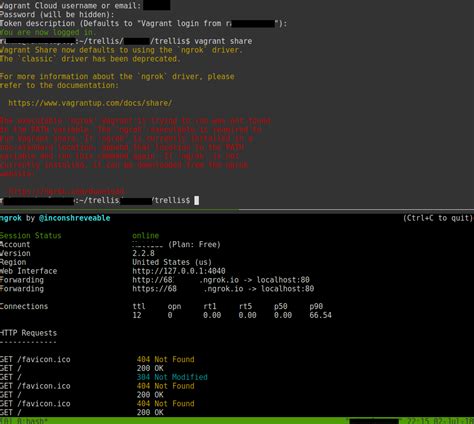 Vagrant Ngrok Setup General Roots Discourse