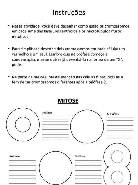 Atividade Mitose E Meiose Pdf Meiose Mitose