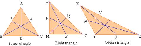Does The Median Lie Wholly In The Interior Of The Triangle 8409619