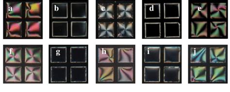 LC Response Under Varying Conditions LC Appearance In The Absence Of Download Scientific