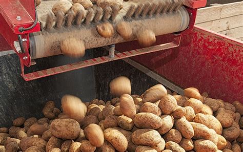 The Supply Chain Project