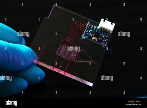 Lab On A Chip LOC Stock Photo Alamy