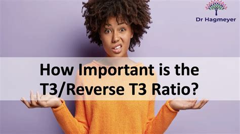 Your Reverse T3 Guide Understanding Its Impact On Thyroid Health