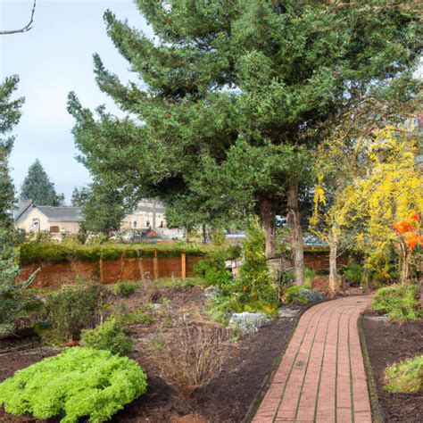 Golden Garden Eugene Everything You Need To Know