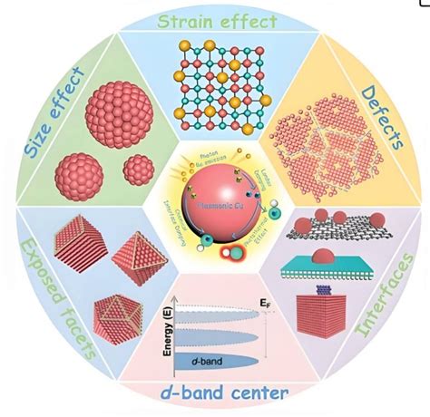 Polyester Vs Polyamide Expert Level Guide