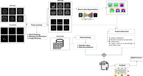 Figure 1 From Automated Brain Lobe Segmentation And Feature Extraction From Multiple Sclerosis
