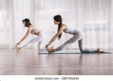Half Splits Pose Images Stock Photos Vectors Shutterstock