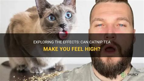 exploring the effects can catnip tea make you feel high shuncy