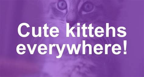 How To Change Background Image Opacity In CSS Without Affecting Text HTML CSS Coder Coder