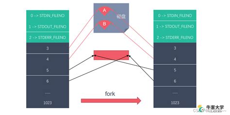 2linux多进程linux多进程并行 Csdn博客