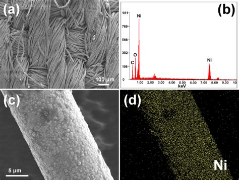 A SEM Image B EDS Spectrum C Enlarged SEM Images And D Download Scientific Diagram
