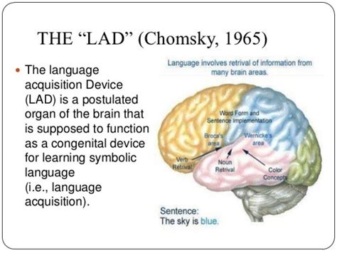 Language Acquisition Theories Amy Royuk Timeline Timetoast Timelines