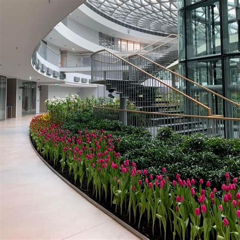 [ntm] 🥣🌷พาไปเที่ยวสวนดอกทิวลิปที่ระยอง ฟีลอยู่ต่าง ประเทศ⛰️ วันหยุดใคร