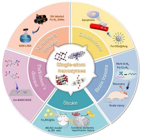 单原子纳米酶治疗中枢神经系统疾病 Nano Research X Mol