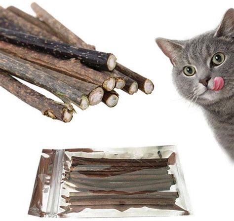 Ten Best Chew Toys For Cats Benefits Of Cat Chew Toys HereKitt Com