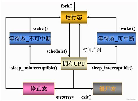 Linux环境编程——进程（一） Csdn博客