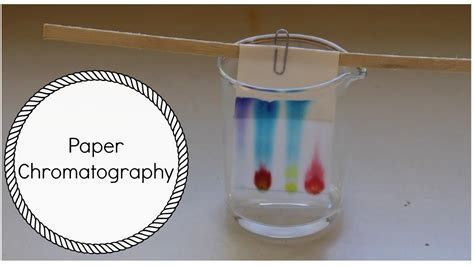 How To Do The Chromatography Paper Experiment At Terry Greene Blog