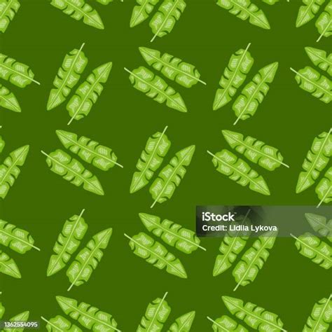 손으로 그린 열대 프린트와 현대 바나나 잎 매끄러운 패턴 여름 예술 자연 배경 계절 직물에 대한 벡터 일러스트레이션 그리기에 대한 스톡 벡터 아트 및 기타 이미지 Istock