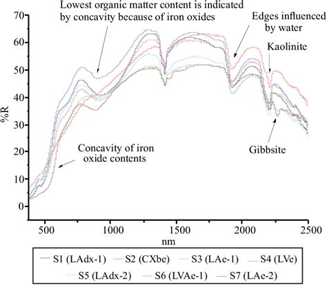 Spectral Curves Obtained By Diffuse Reflectance Spectroscopy Drs For Download Scientific