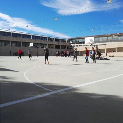 5 Fun Ways To Teach Statistics Lindsay Bowden