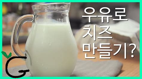 60초 요리팁 리코타 치즈 만들기 우유로 치즈 만들기 코티지 치즈 Youtube