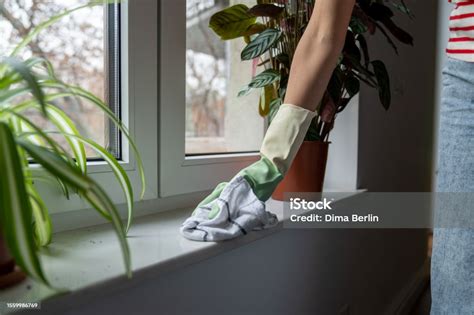 깔끔한 주부 또는 청소부 하녀는 집안 청소 작업을 수행하여 창턱에서 먼지를 닦아냅니다 35 39세에 대한 스톡 사진 및 기타 이미지 35 39세 가구 가사 집안일