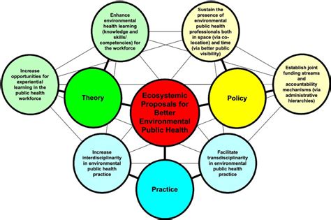 Ecosystemic Theory Practice And Policy Training Recommendations For