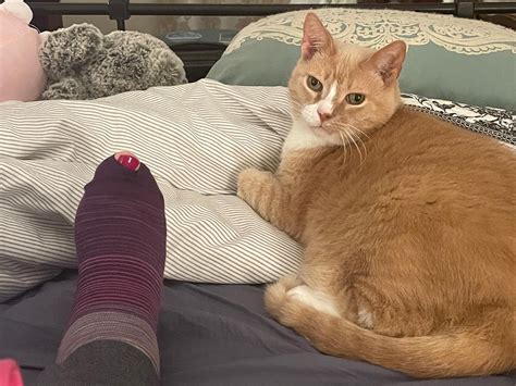 All I Got In This Life Is A Hole In My Sock And Ding Dong Whose Name I