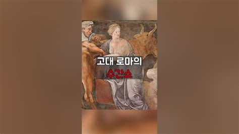 고대 로마 콜로세움의 수간쇼 Shorts 역사 로마 Youtube