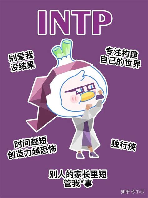 INTP型人格最适合职业 知乎