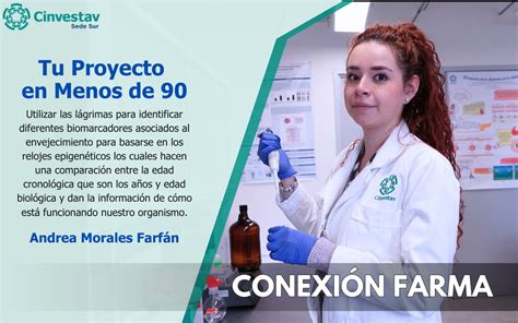 tu proyecto en menos de 90