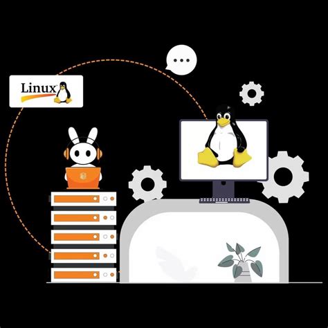 Linux Plesk Server Management Service At ₹ 1700month In Nashik Id 2854434193273