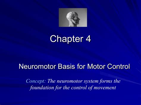 Neuromotor Control Brain Spinal Cord Presentation