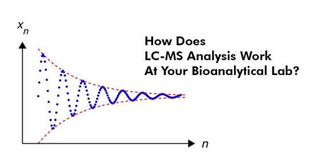 How Does LC MS Analysis Work At Your Bioanalytical Lab PArasteh Blogger Blog Site