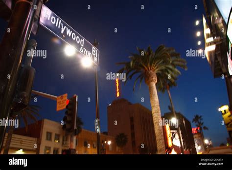 Hollywood Blvd Sign Night