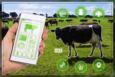 Livestock Monitoring In Agriculture Using Iot Al Ardh Alkhadra
